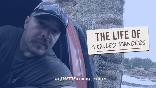 The Life Of - IndependentWrestling.tv